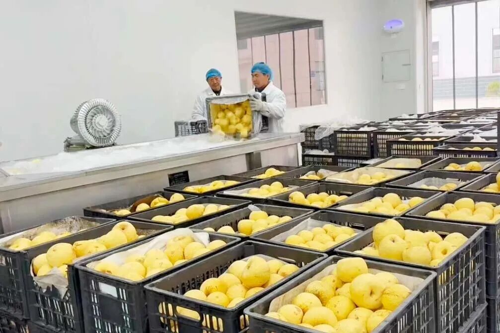 盐城出品短剧预约突破150万！ - 盐城新闻网